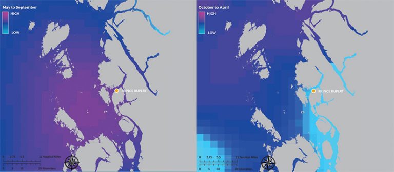 Marine Mammal Programming Conservation | Prince Rupert Port Authority ...