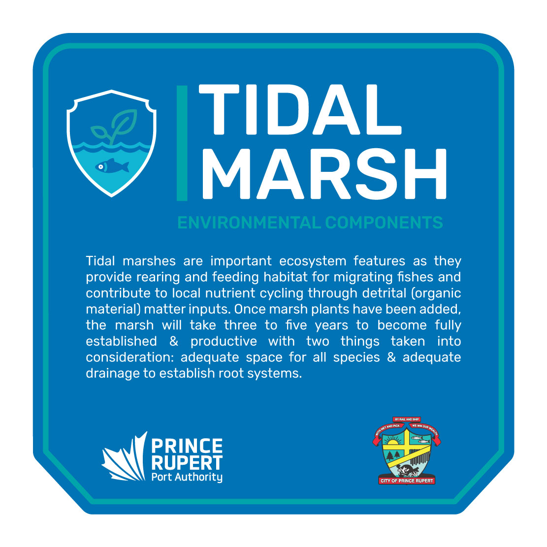 Tidal Marsh | Environmental Components | Prince Rupert Port Authority ...