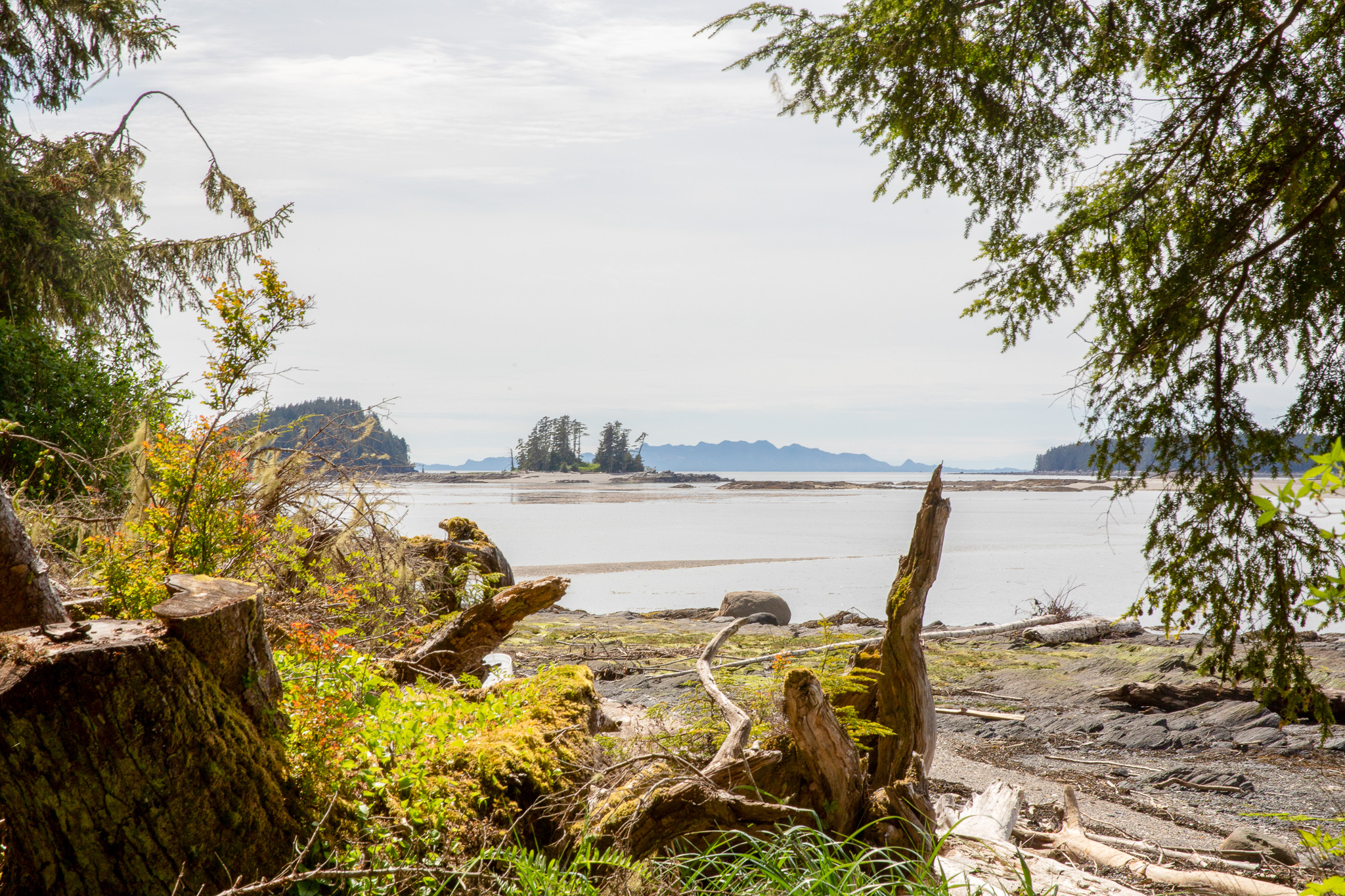 Metlakatla First Nation Celebrates Re-Opening of Metlakatla Wilderness ...